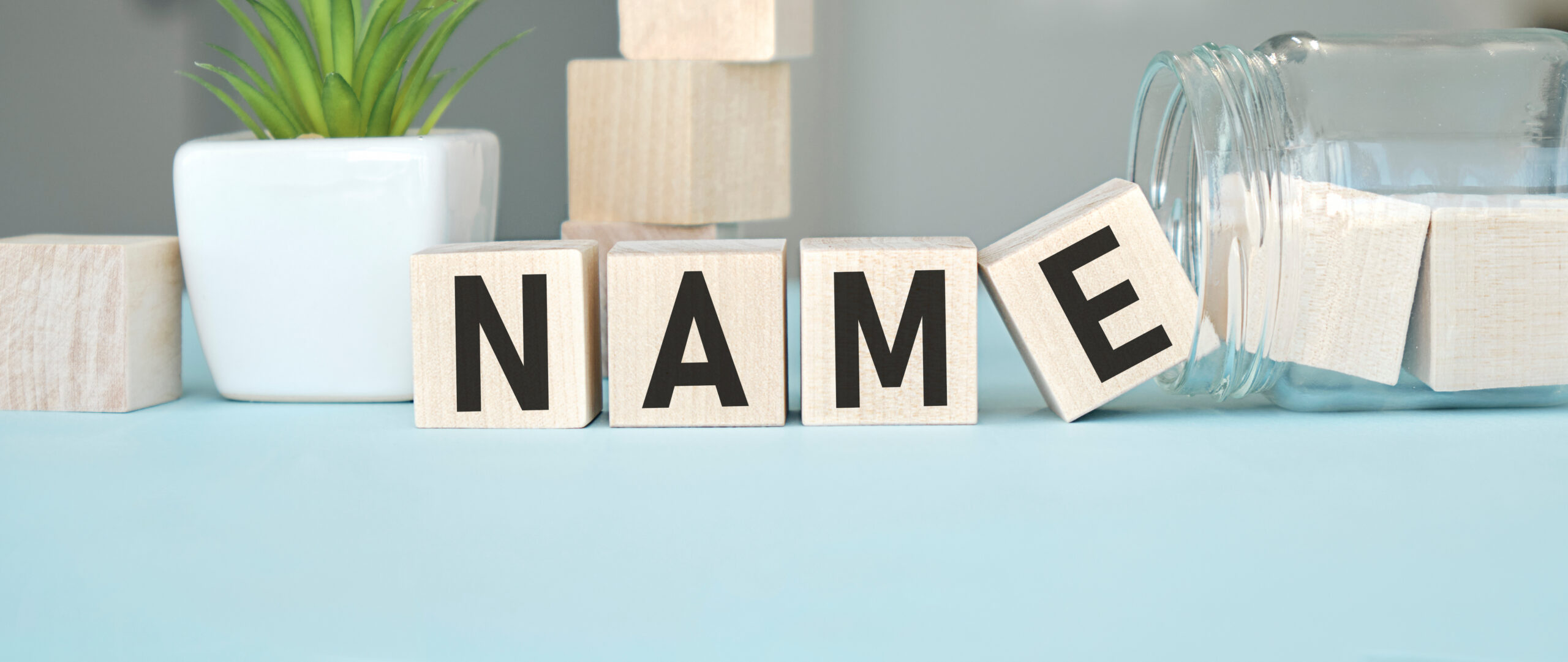 Corporate Name Check and Reservation: What You Need to Know - Kendall PC